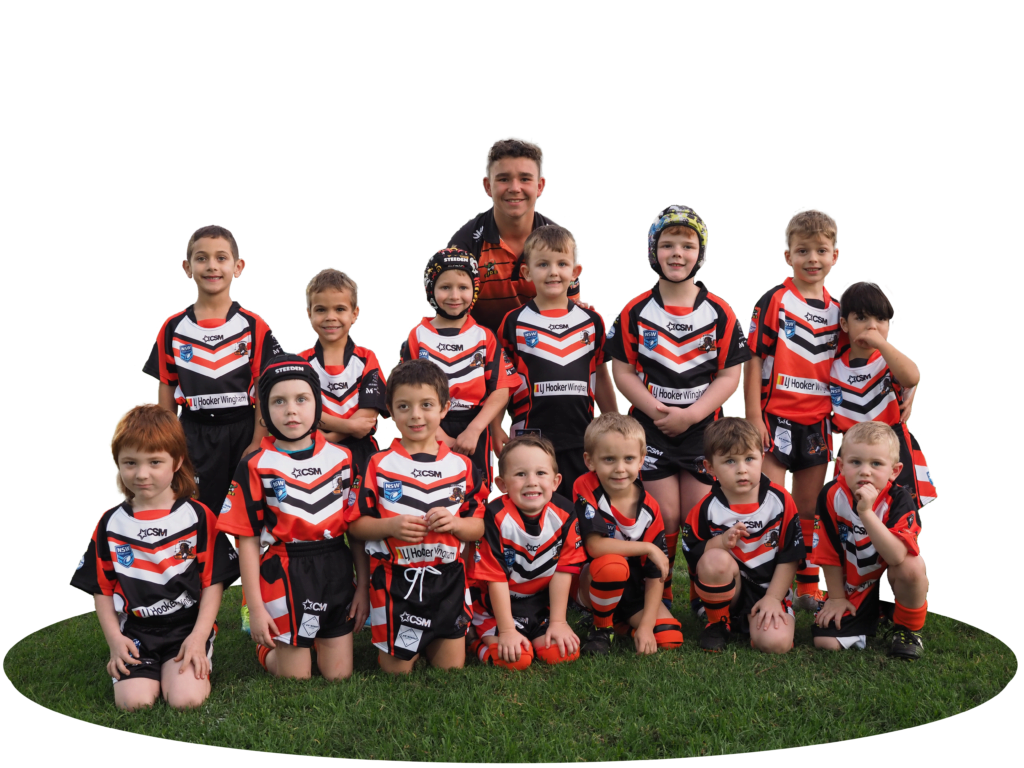 winghamjuniortigers.com.au